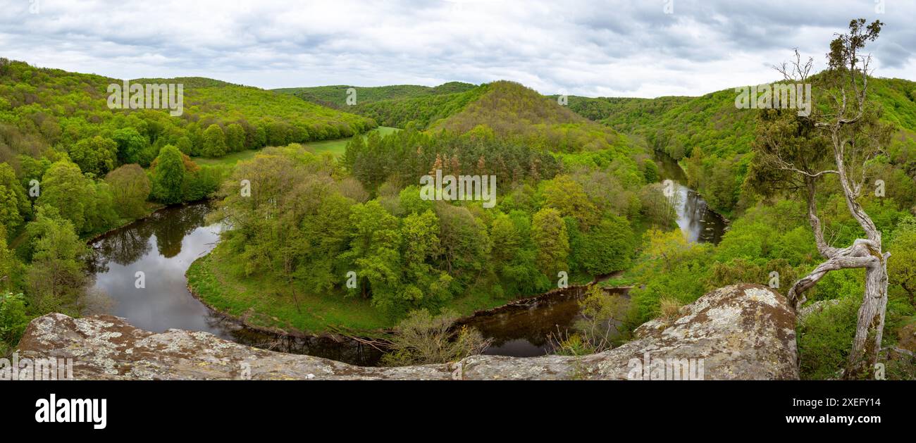 Bend at Thaya river, Thaya, National park Stock Photo - Alamy