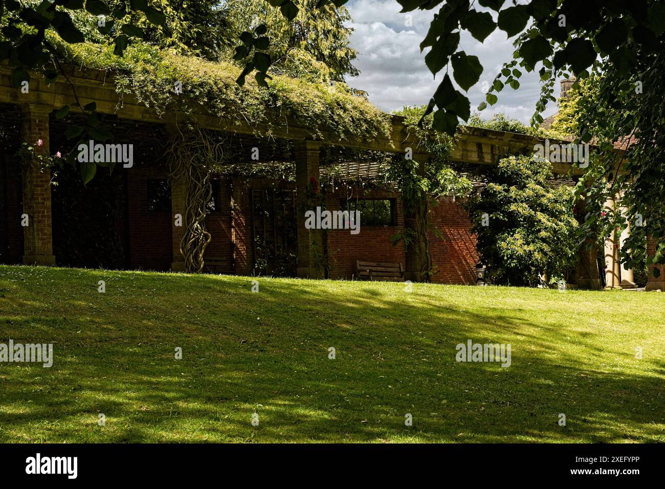 A lush garden with a pergola covered in greenery, casting shadows on ...