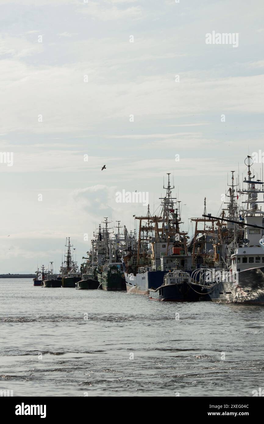 Kushiro Port in the morning, with fishing vessels lined up preparing to ...