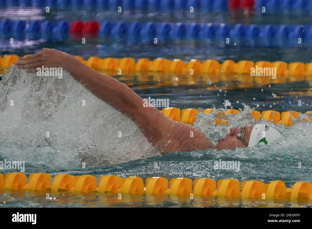 MARCHAND Léon FINALE 400 M MEDLEY MEN during the French Swimming ...
