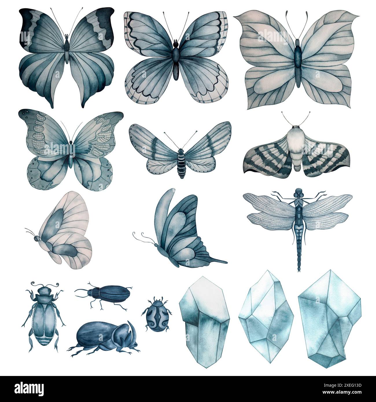 A set on the theme of butterflies and insects painted in watercolor on ...