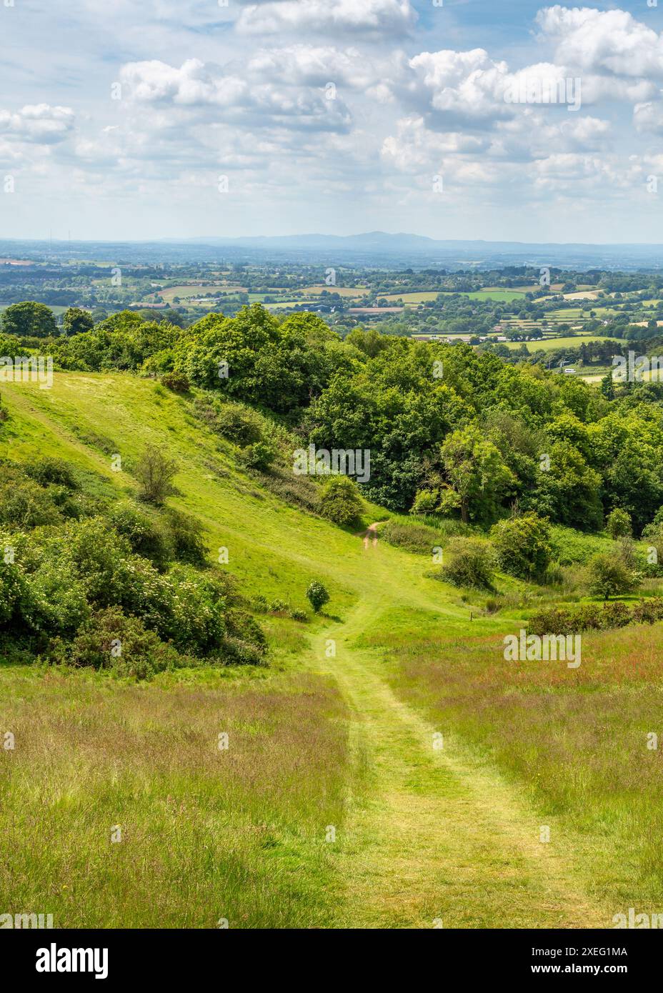 Beautiful outdoors scenic views at Waseley Hills Country Park near ...