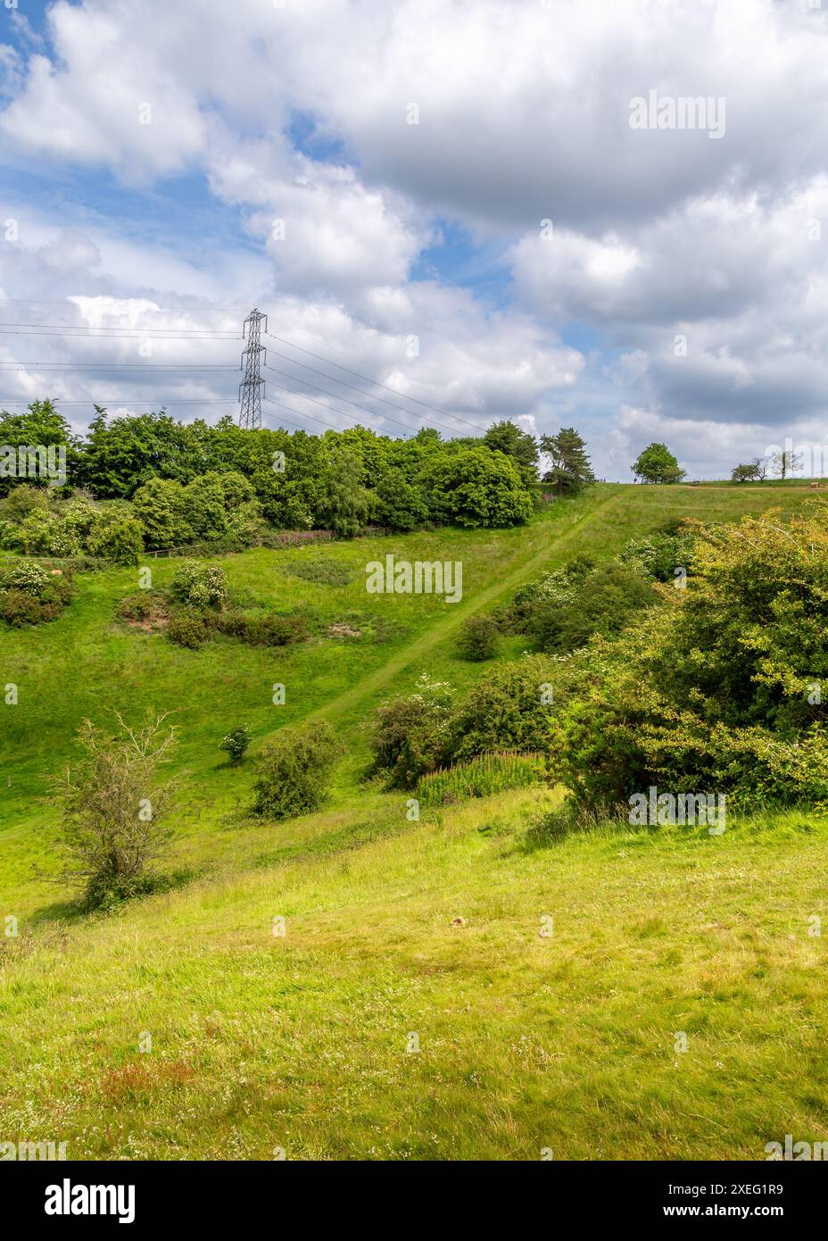 Beautiful outdoors scenic views at Waseley Hills Country Park near ...
