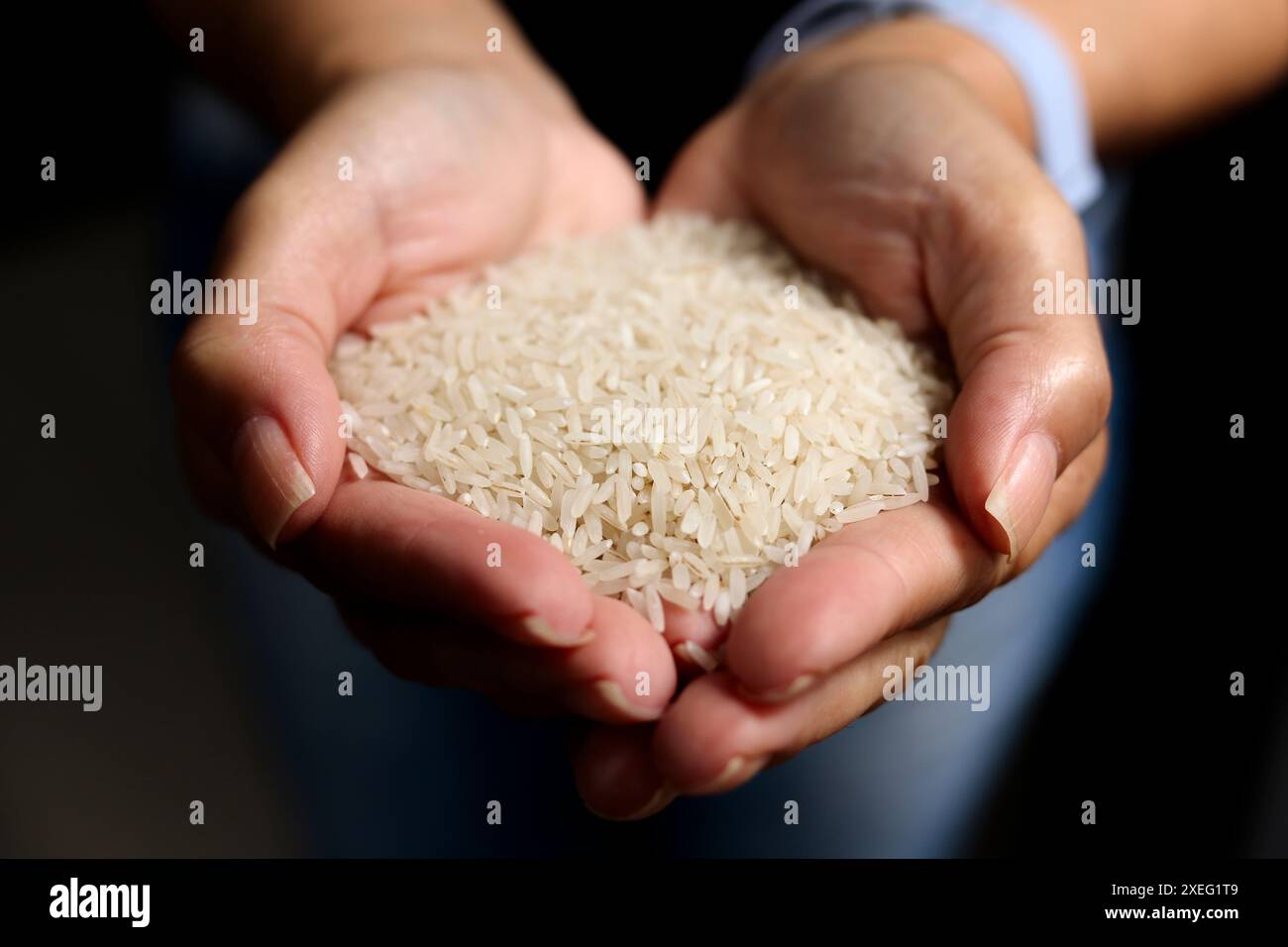 In this photo illustration, close-up of a cook's hands holding a ...