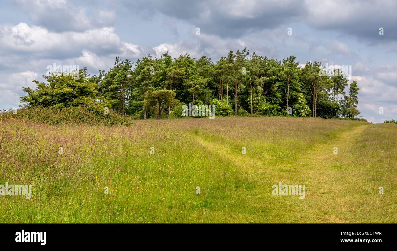Waseley hills country park hi-res stock photography and images - Alamy