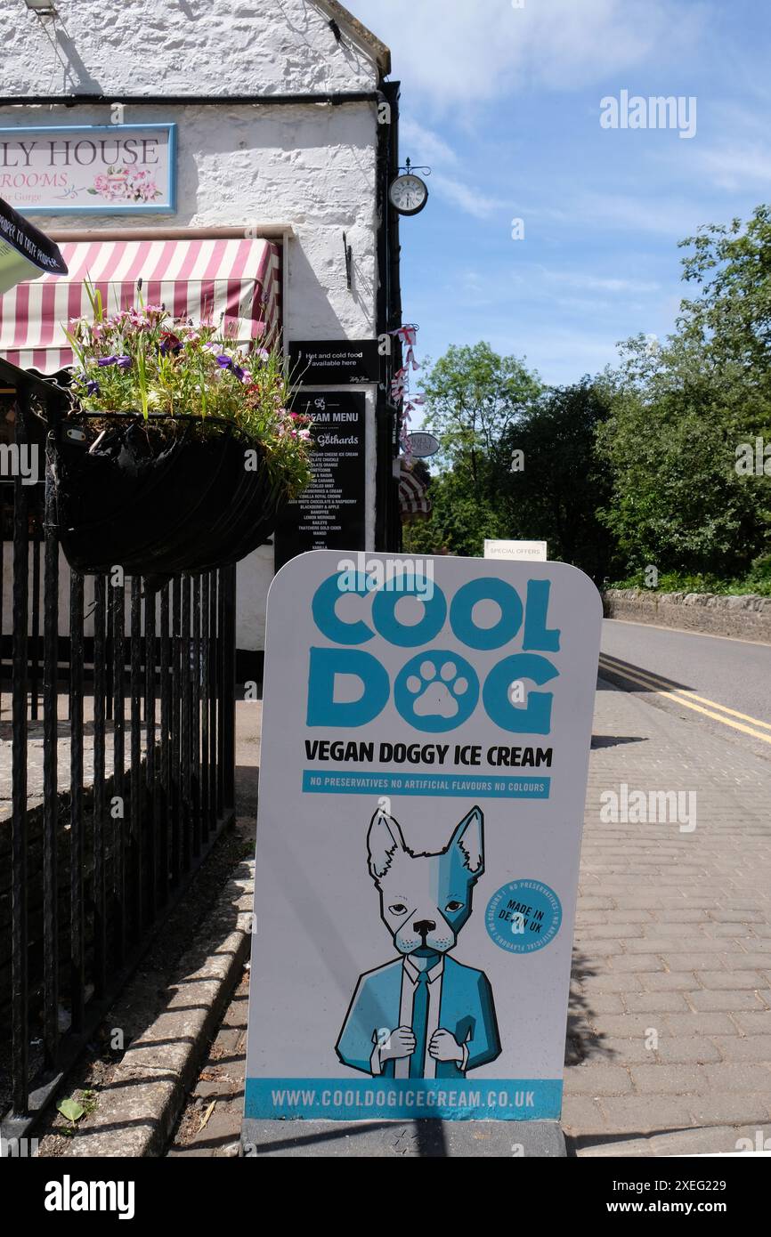 June 2024 - Cool Dog, advert for Vegan doggy ice cream in Cheddar Gorge ...
