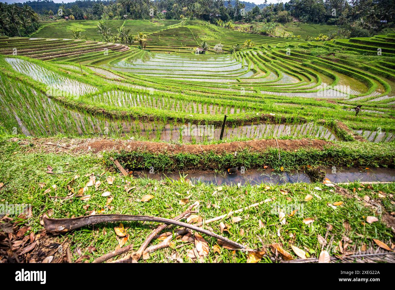 Burma rice terraces hi-res stock photography and images - Alamy