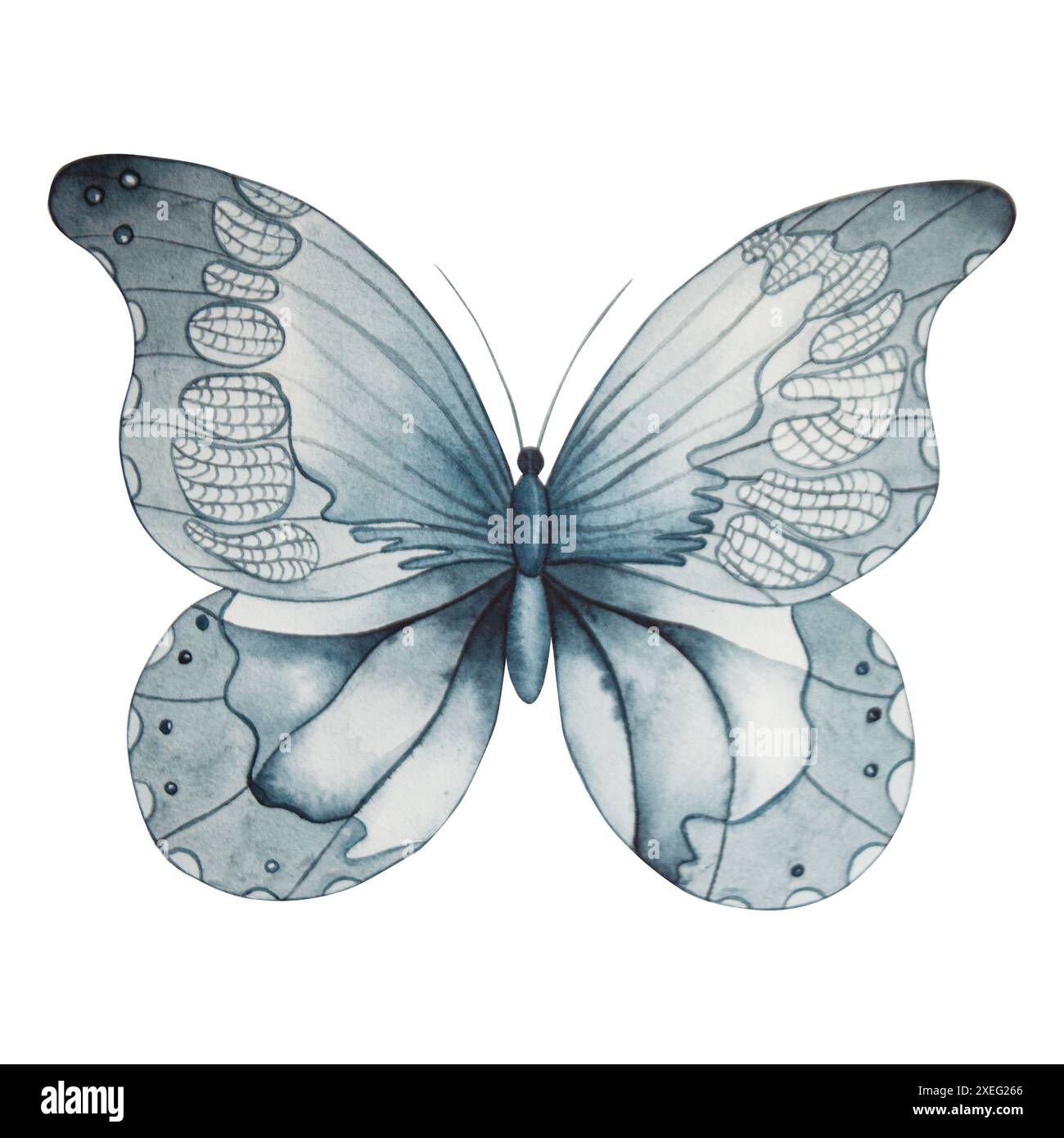 A set on the theme of butterflies and insects painted in watercolor on ...