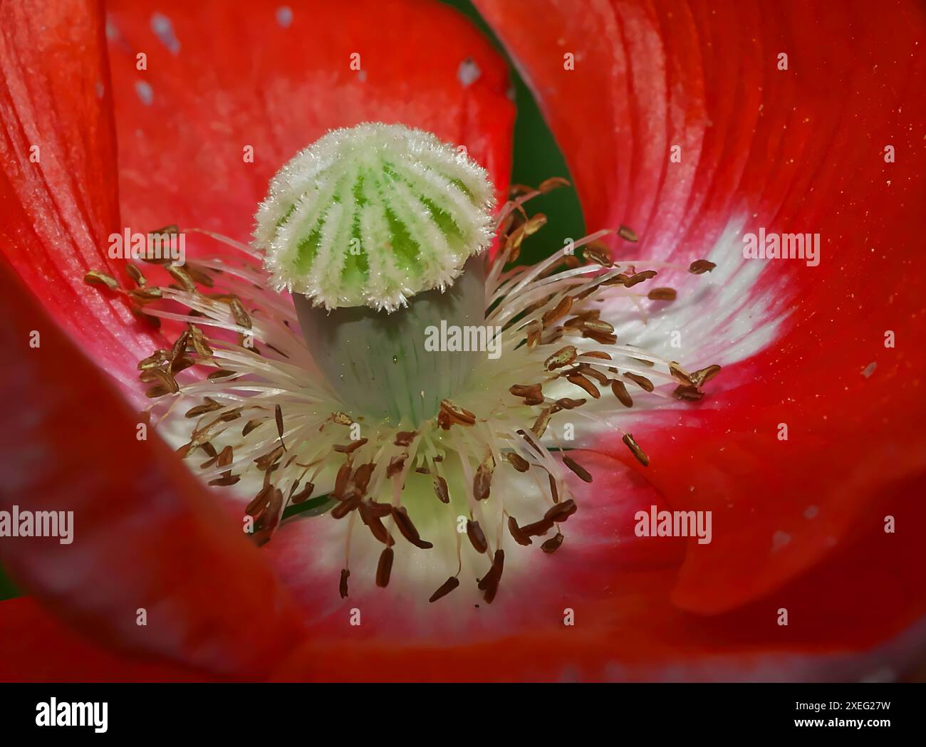 Close up colours hi-res stock photography and images - Alamy