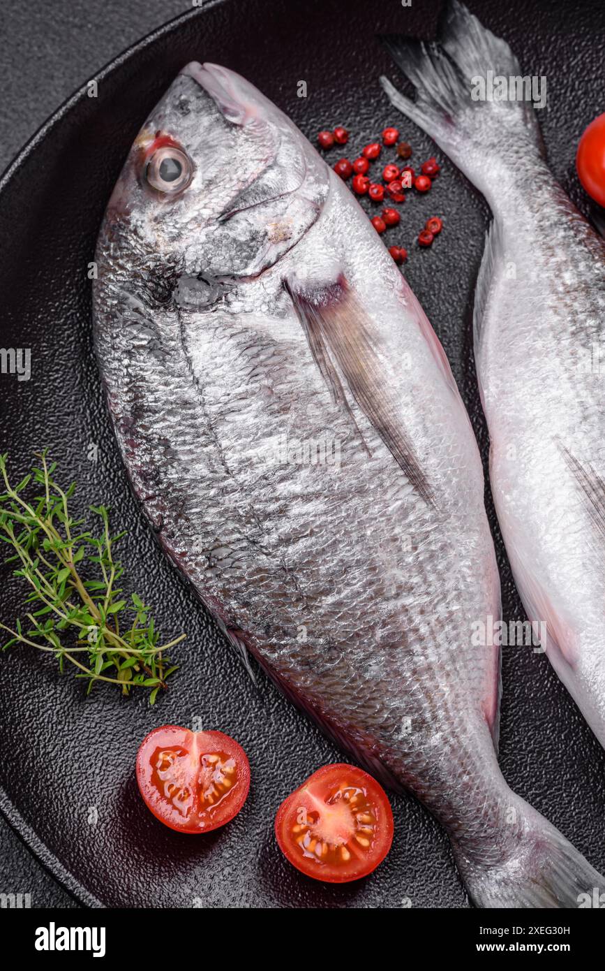 Closeup fresh raw sea hi-res stock photography and images - Alamy
