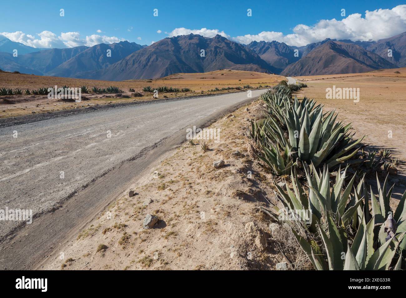 Fields in Peru Stock Photo - Alamy