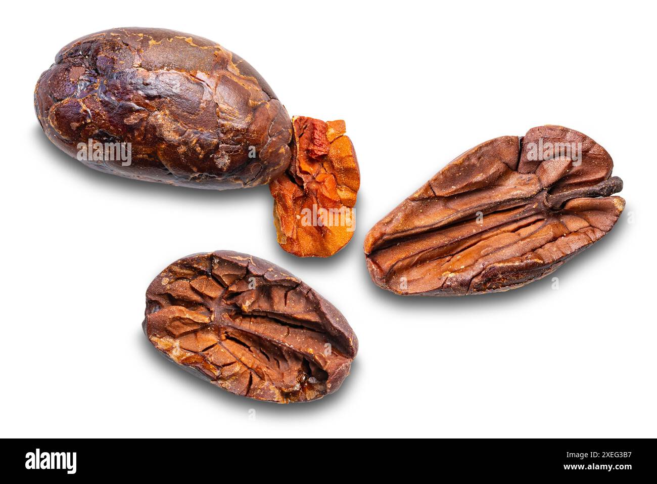 Top view of dry roasted cacao nibs isolated on white background Stock ...