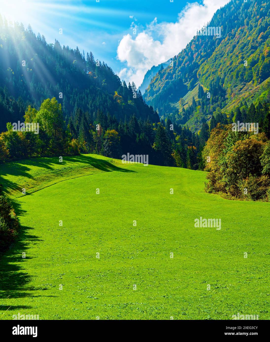 Emerald meadows hi-res stock photography and images - Alamy