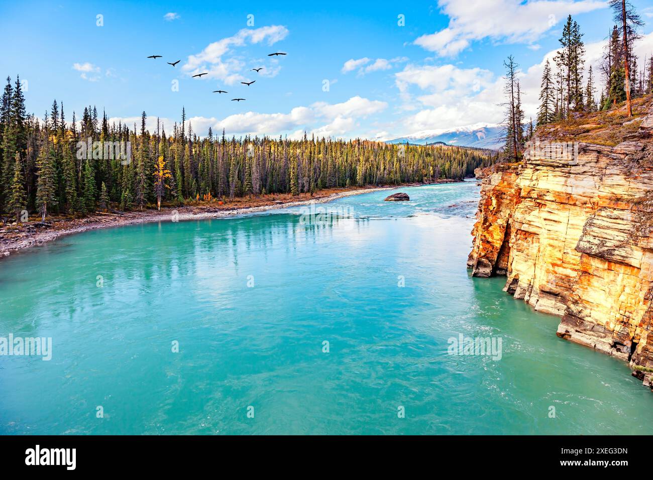 The Athabasca River Stock Photo - Alamy