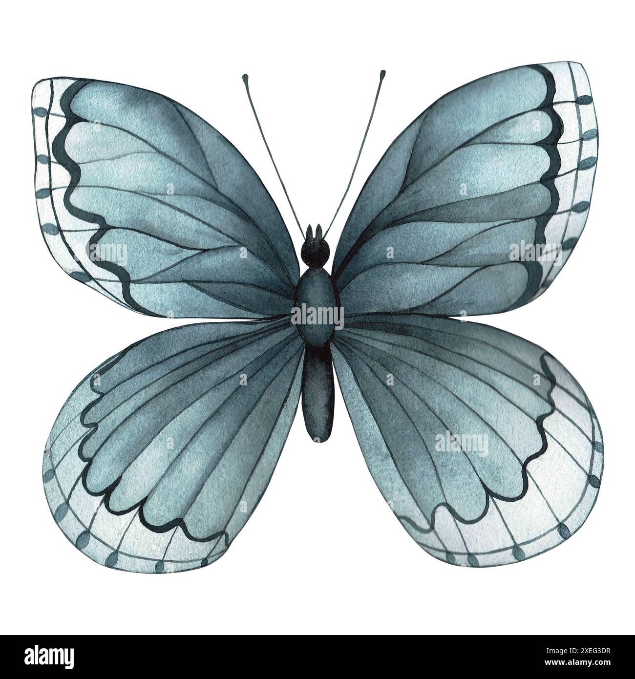 Butterfly, moth and insects painted in watercolor on a white background ...