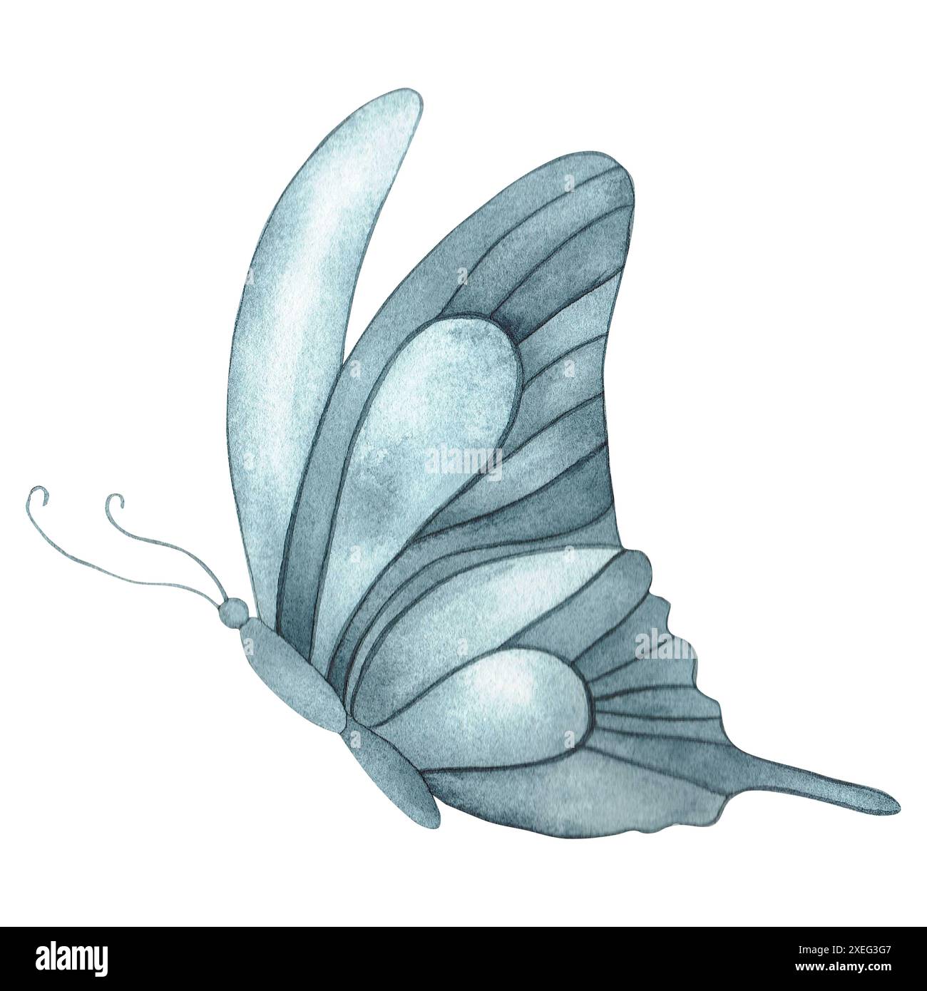 A set on the theme of butterflies and insects painted in watercolor on ...