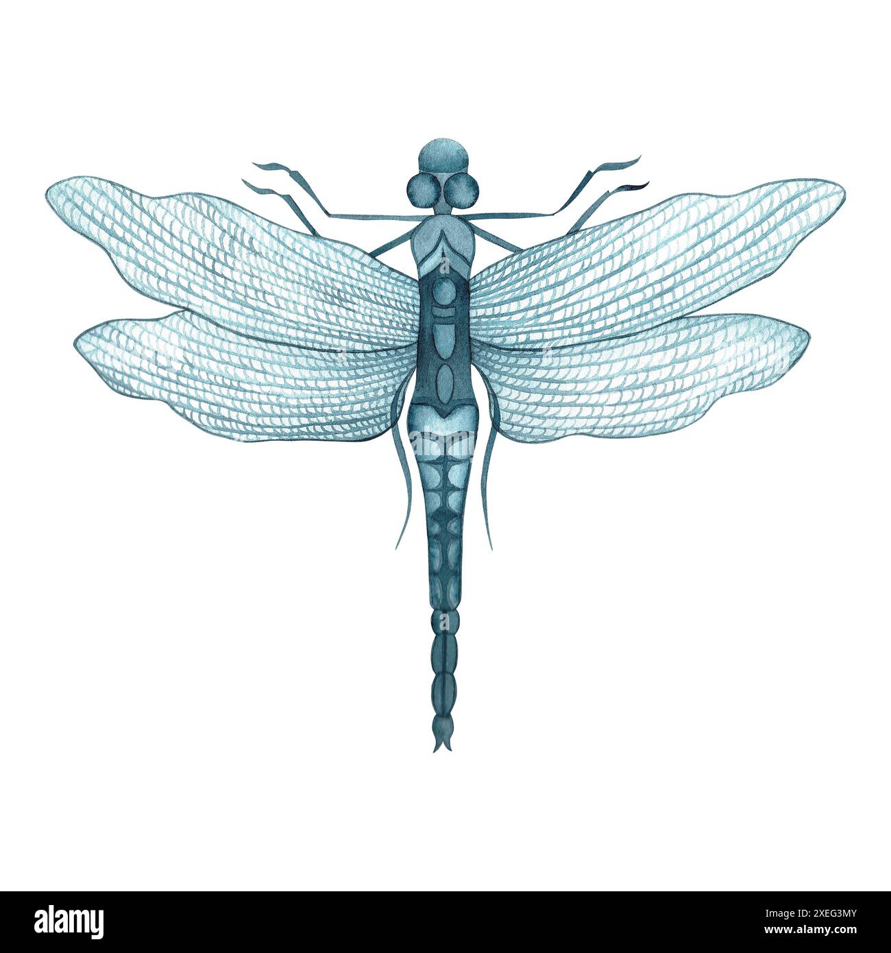 A set on the theme of butterflies and insects painted in watercolor on ...