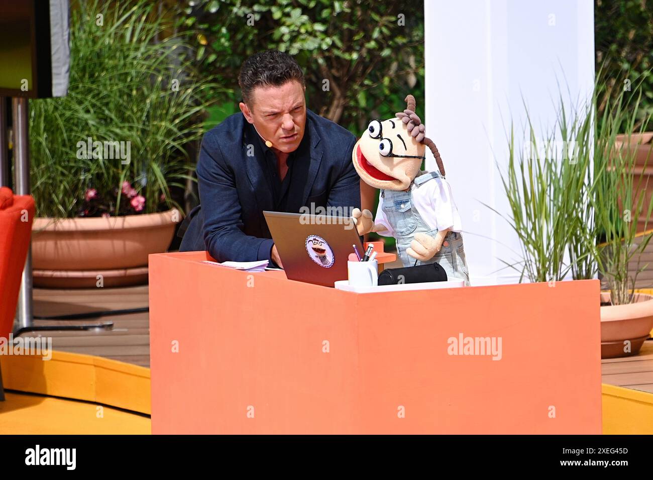 Lumberworm hi-res stock photography and images - Alamy