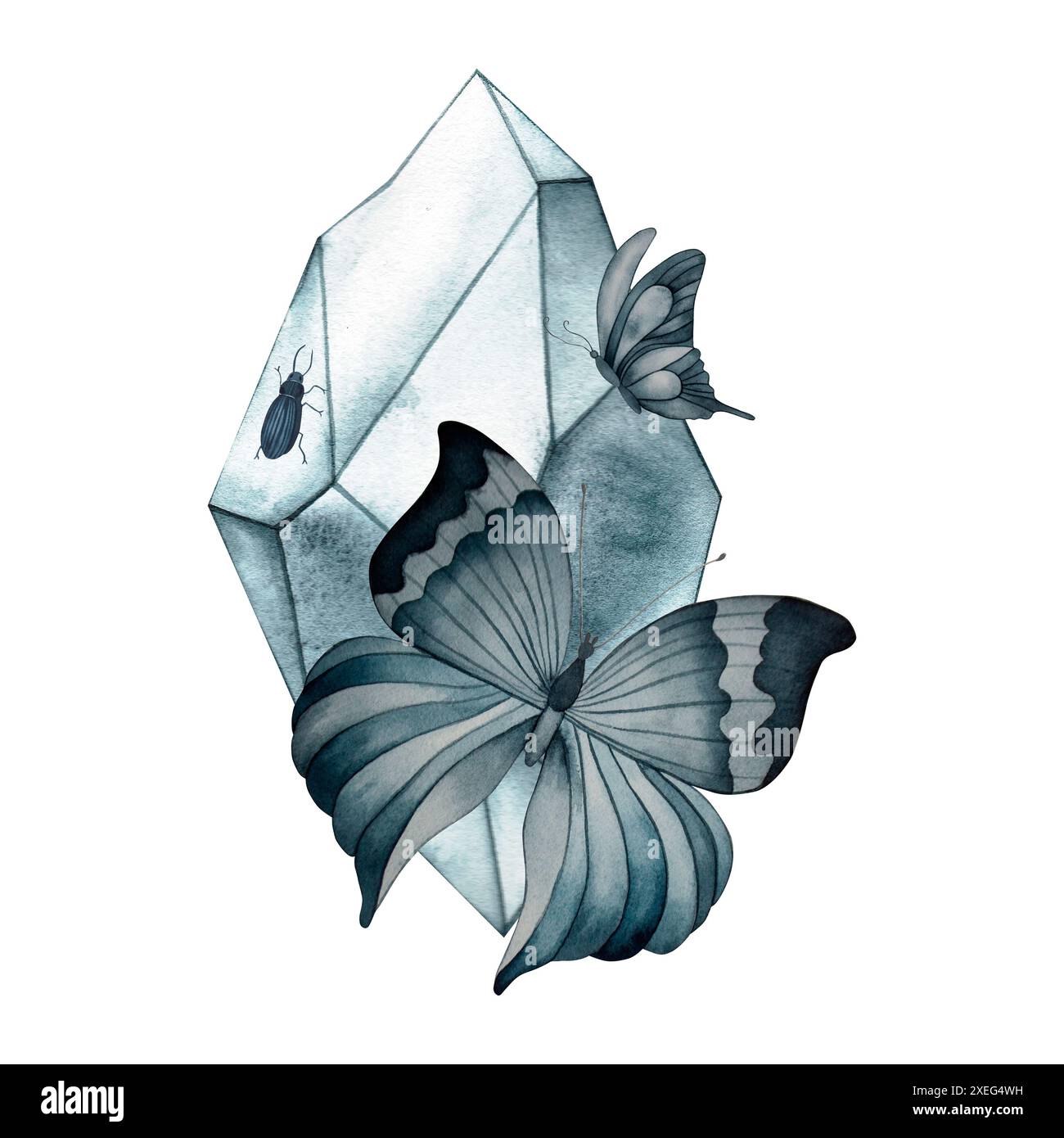 A set on the theme of butterflies and insects painted in watercolor on ...