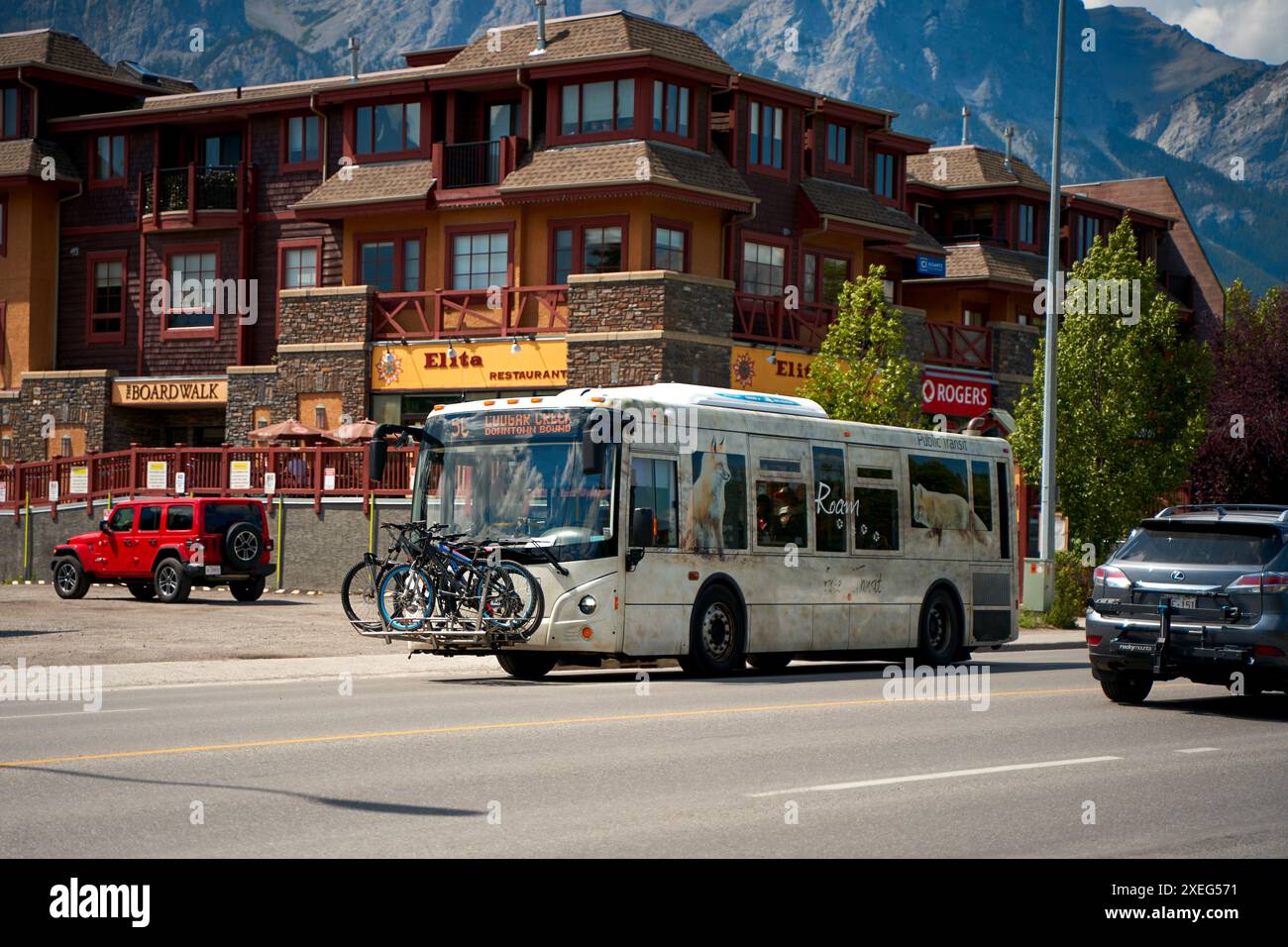A tourist bus with bicycles attached to the front rides along a road in ...