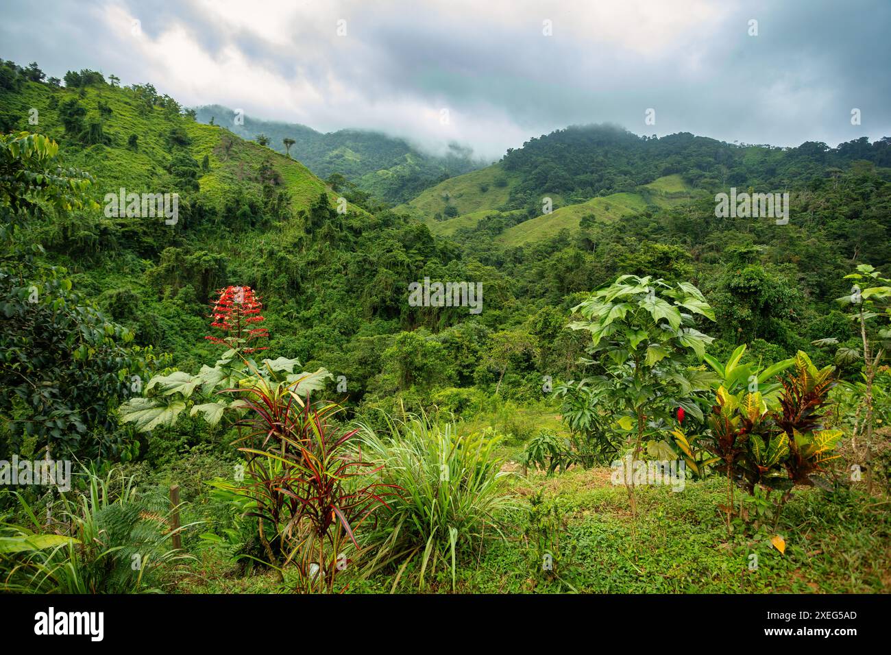 Landscape of Sierra Nevada mountains, Colombia wilderness landscape ...