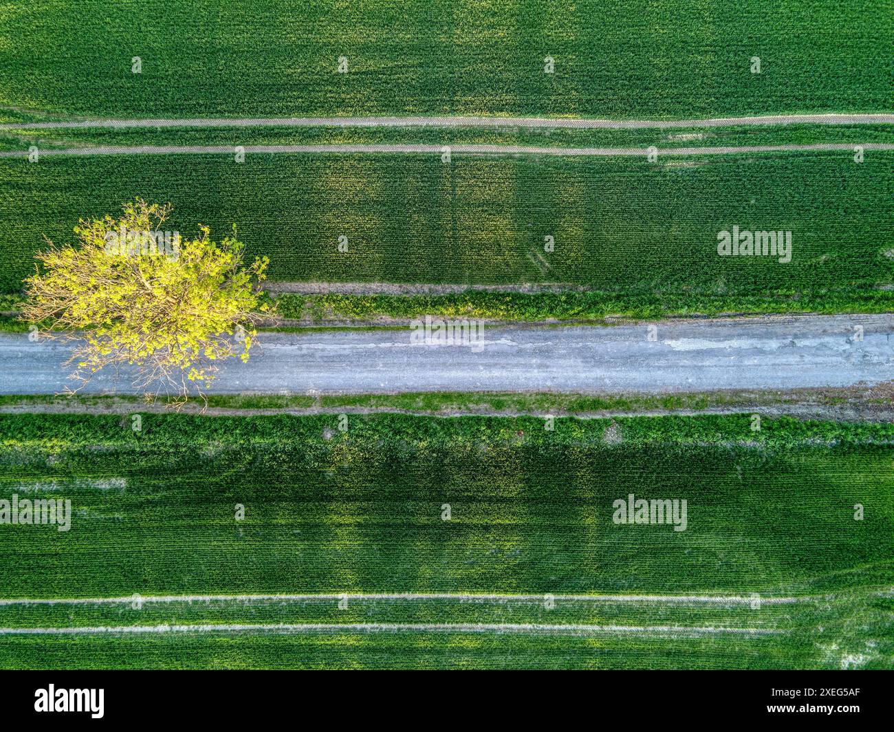 Beautiful landscape with lines and patterns of agricultural fields ...