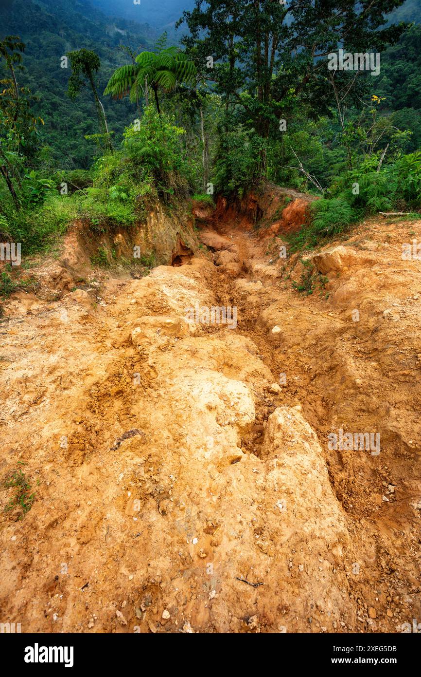 Colombian jungle landscape. Challenging trek on muddy road to hidden ...