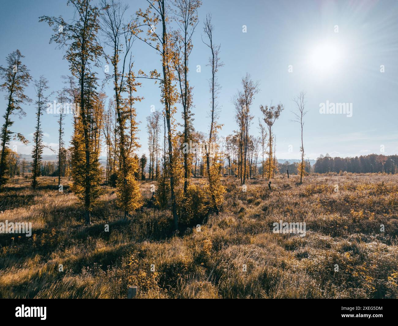 High angle aerial view central hi-res stock photography and images - Alamy