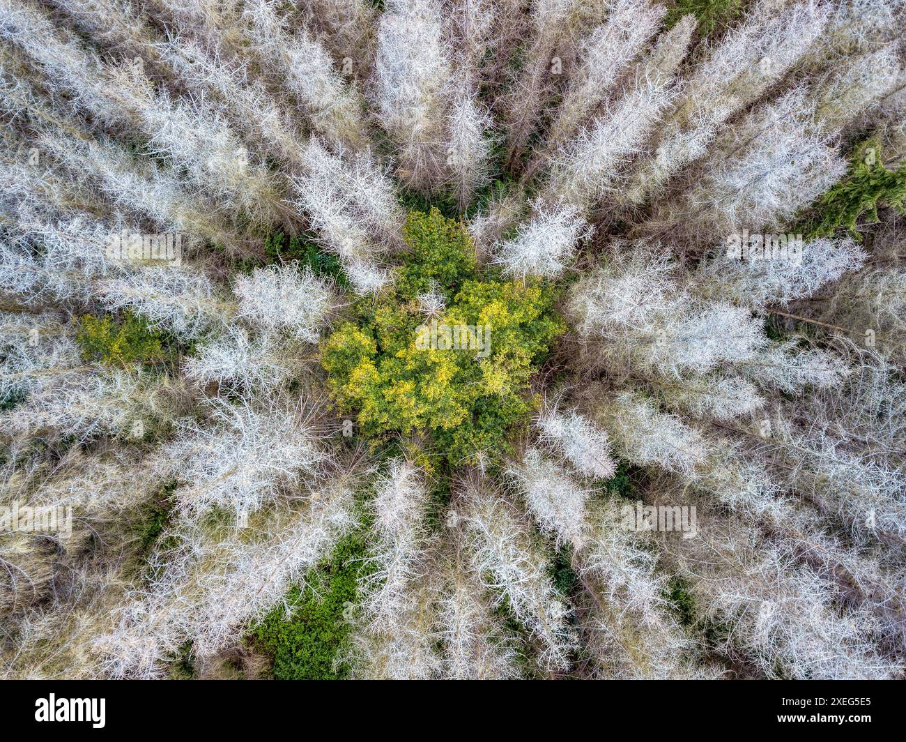 Beautiful drone bird eye view hi-res stock photography and images - Alamy