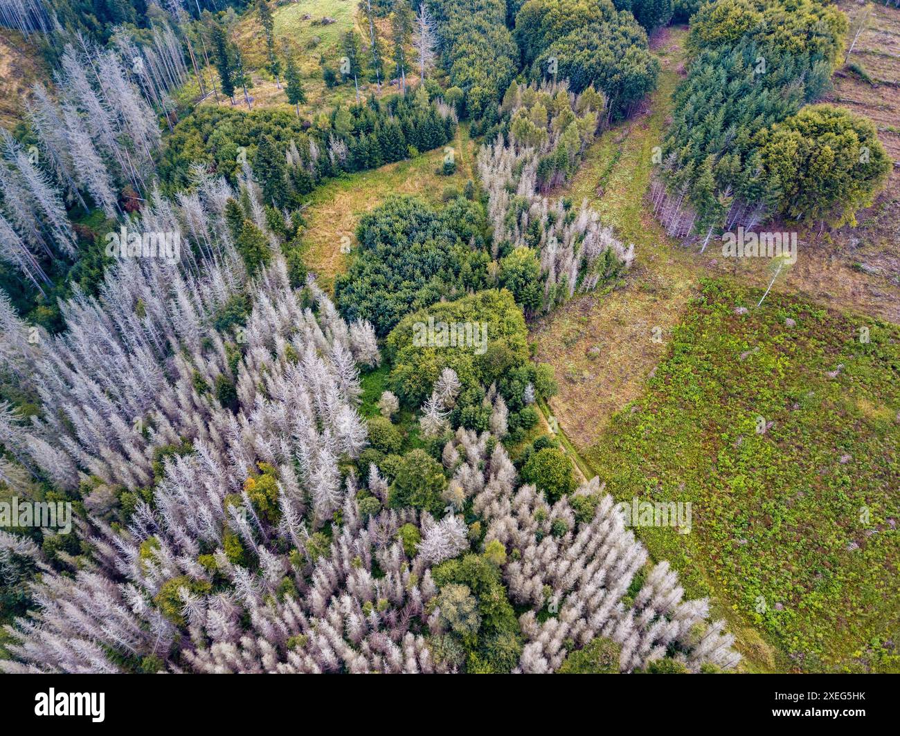 Aerial view of autumn countryside, traditional fall landscape in ...