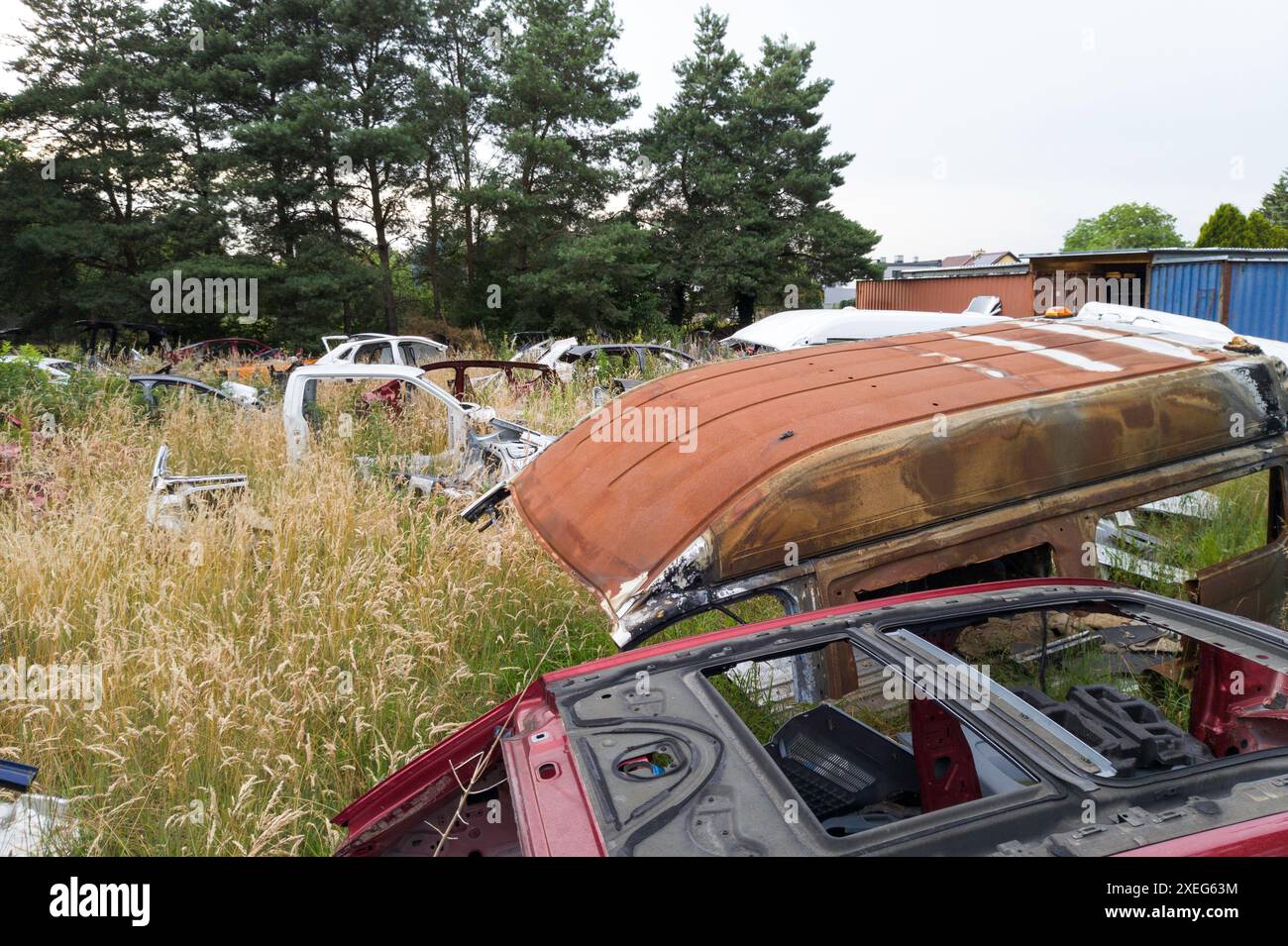 Vehicles overgrown hi-res stock photography and images - Alamy