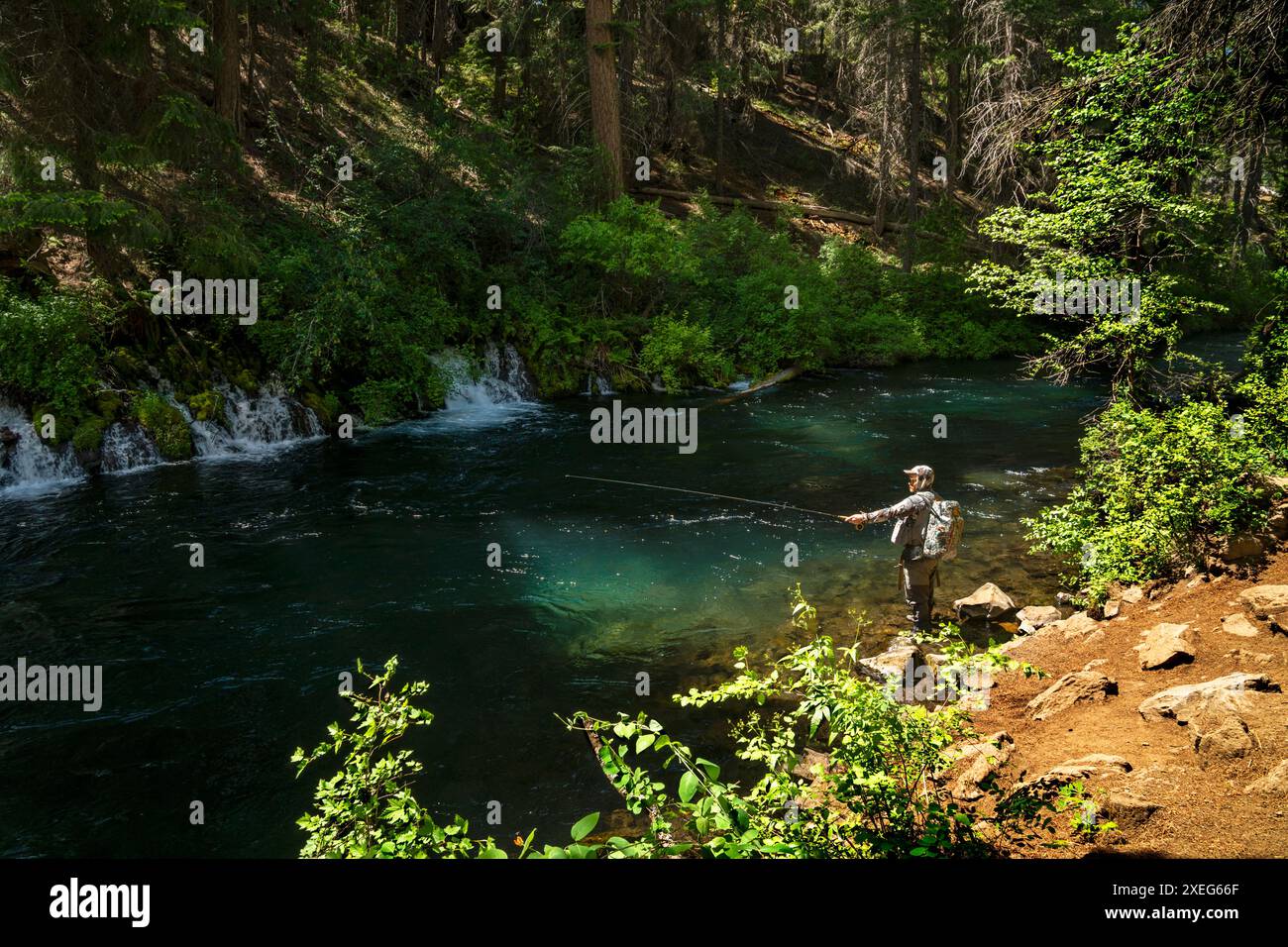 Fly fising at location where spring water flows from the bank of Oregon ...