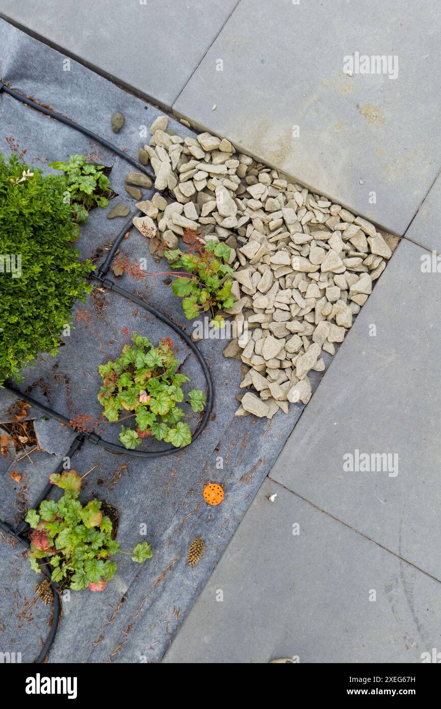 Garden Irrigation System Under Construction Stock Photo - Alamy