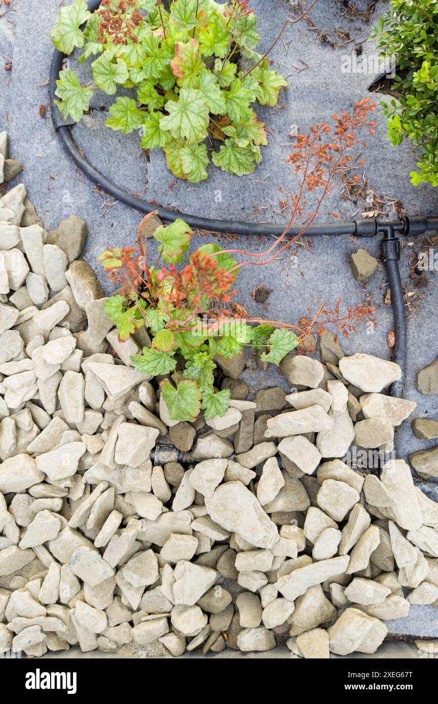 Automatic Garden Irrigation System Construction Stock Photo - Alamy