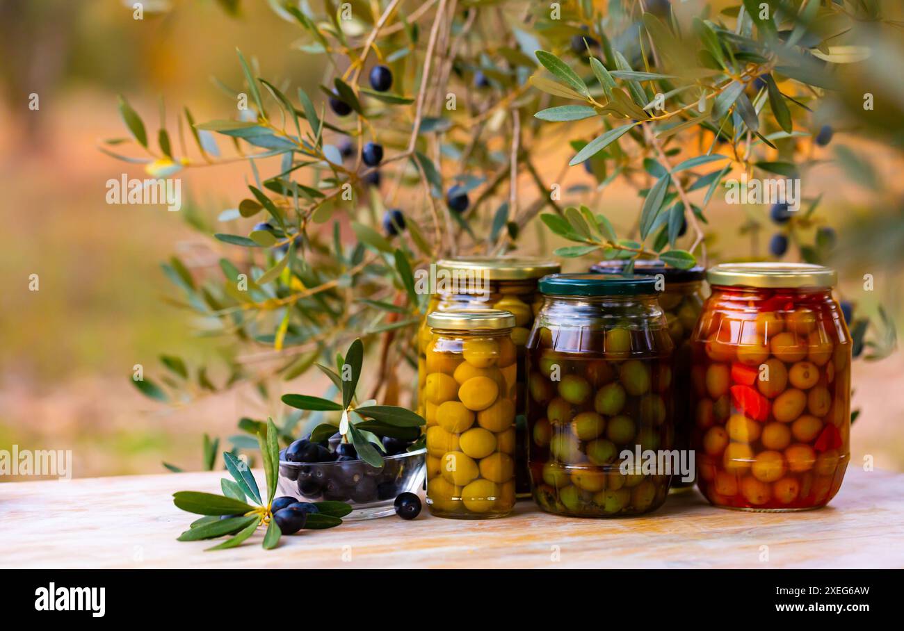 Glass jars with pickled olives under olive tree Stock Photo - Alamy
