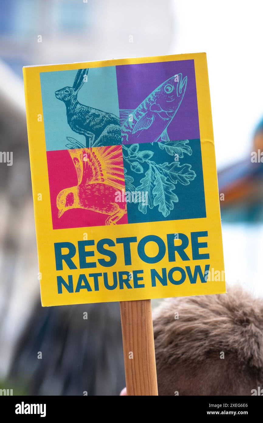 London, UK. 22nd June 2024. Protest signs and placards at the Restore ...