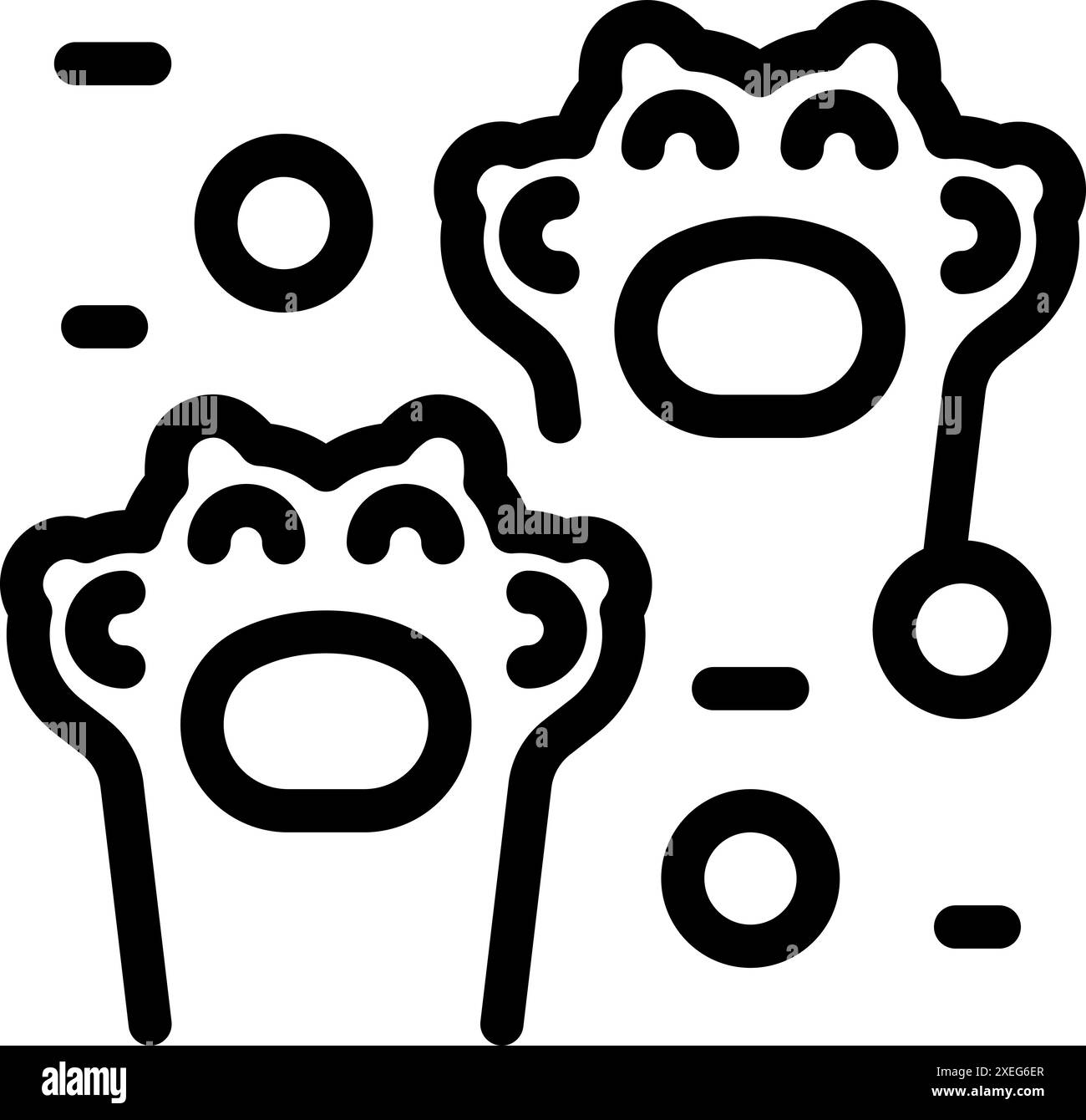 Cat paws walking, leaving cute paw prints behind on a white background ...