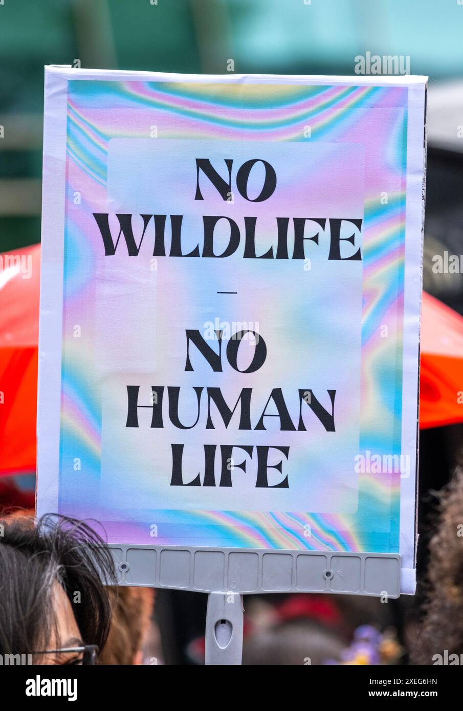 London, UK. 22nd June 2024. Protest signs and placards at the Restore ...