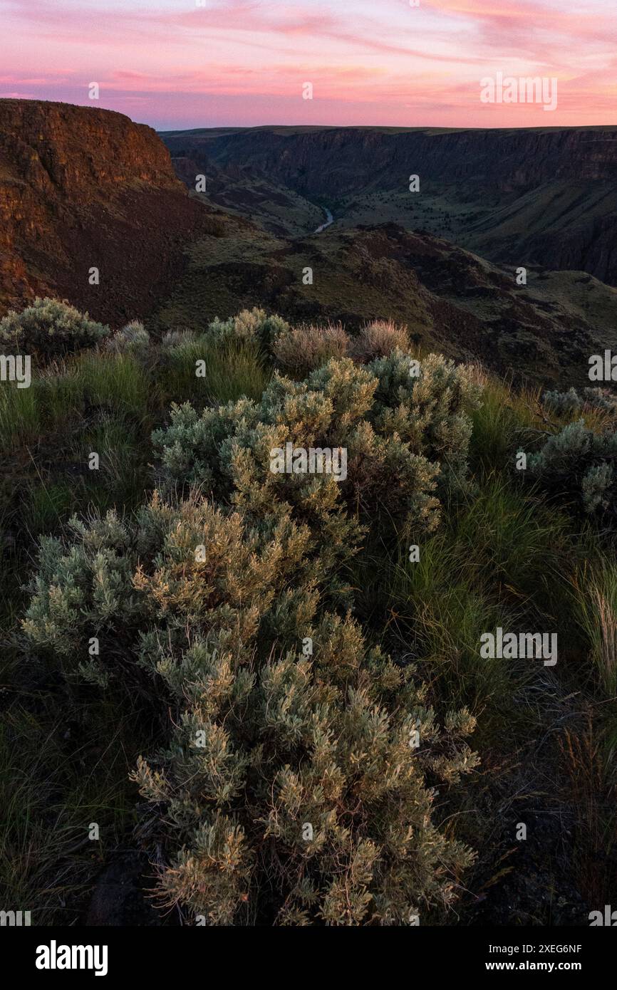 Sunset and Moonlight at Oregon's Owyhee Canyon Overlook Stock Photo - Alamy