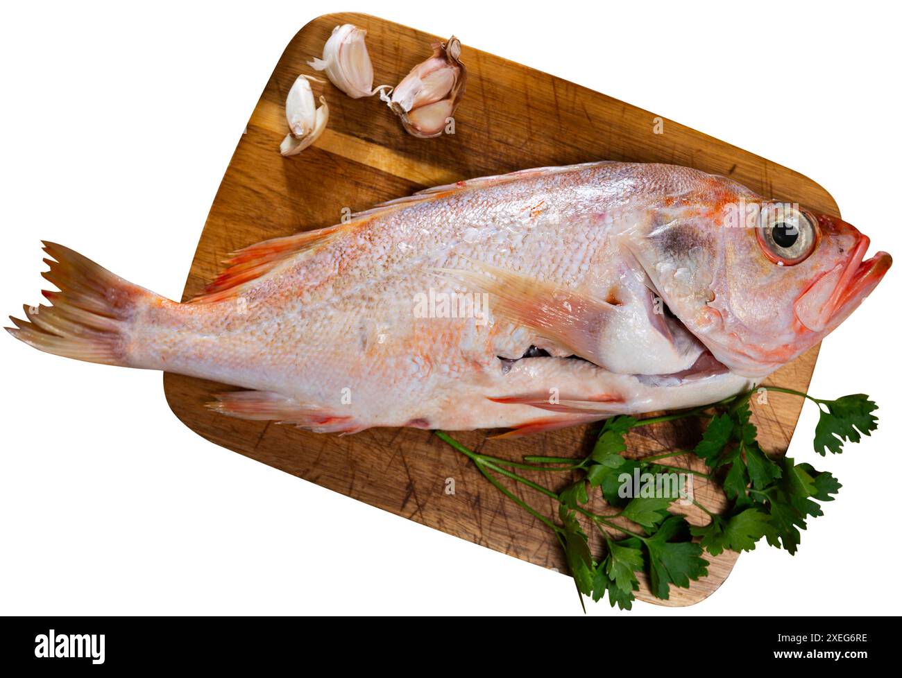 Raw whole red palometa fish with garlic and parsley Stock Photo - Alamy