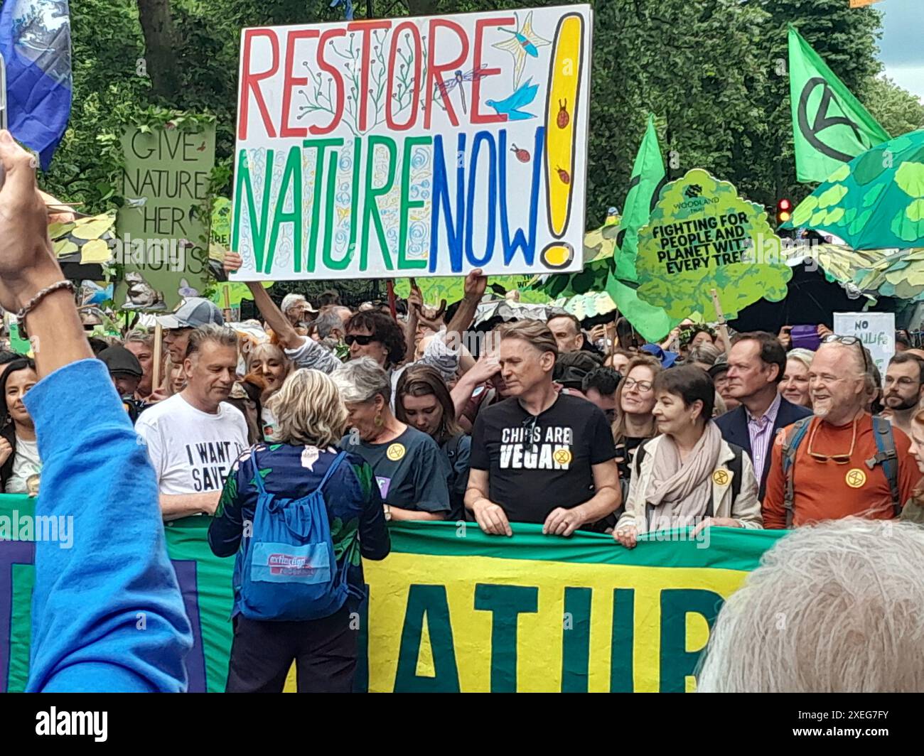 Restore Nature Now Protest London 22 June 2024 Stock Photo - Alamy