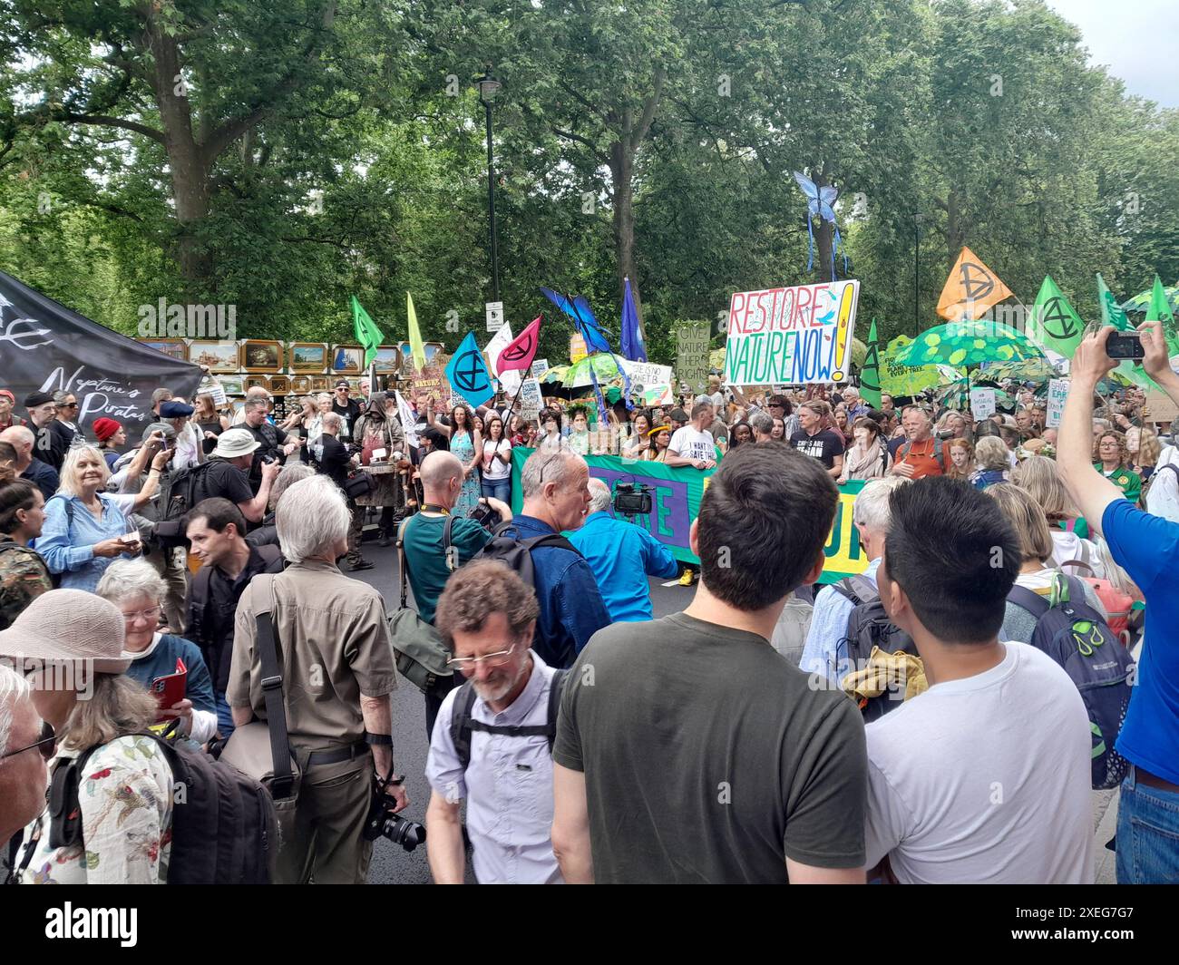 Restore Nature Now Protest London 22 June 2024 Stock Photo - Alamy