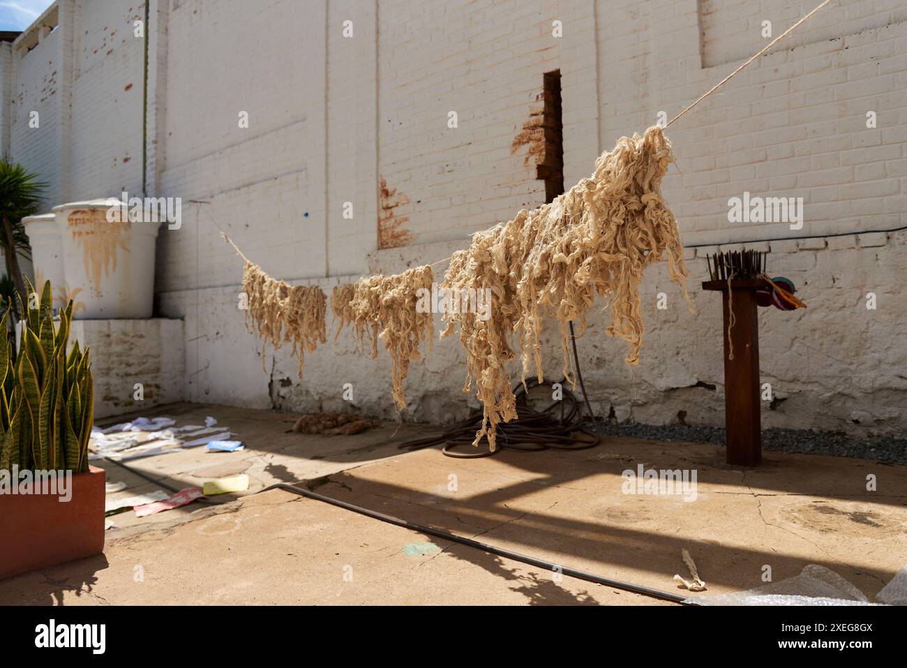 Natural vegetable fibers hung drying in the sun, in preparation for use ...