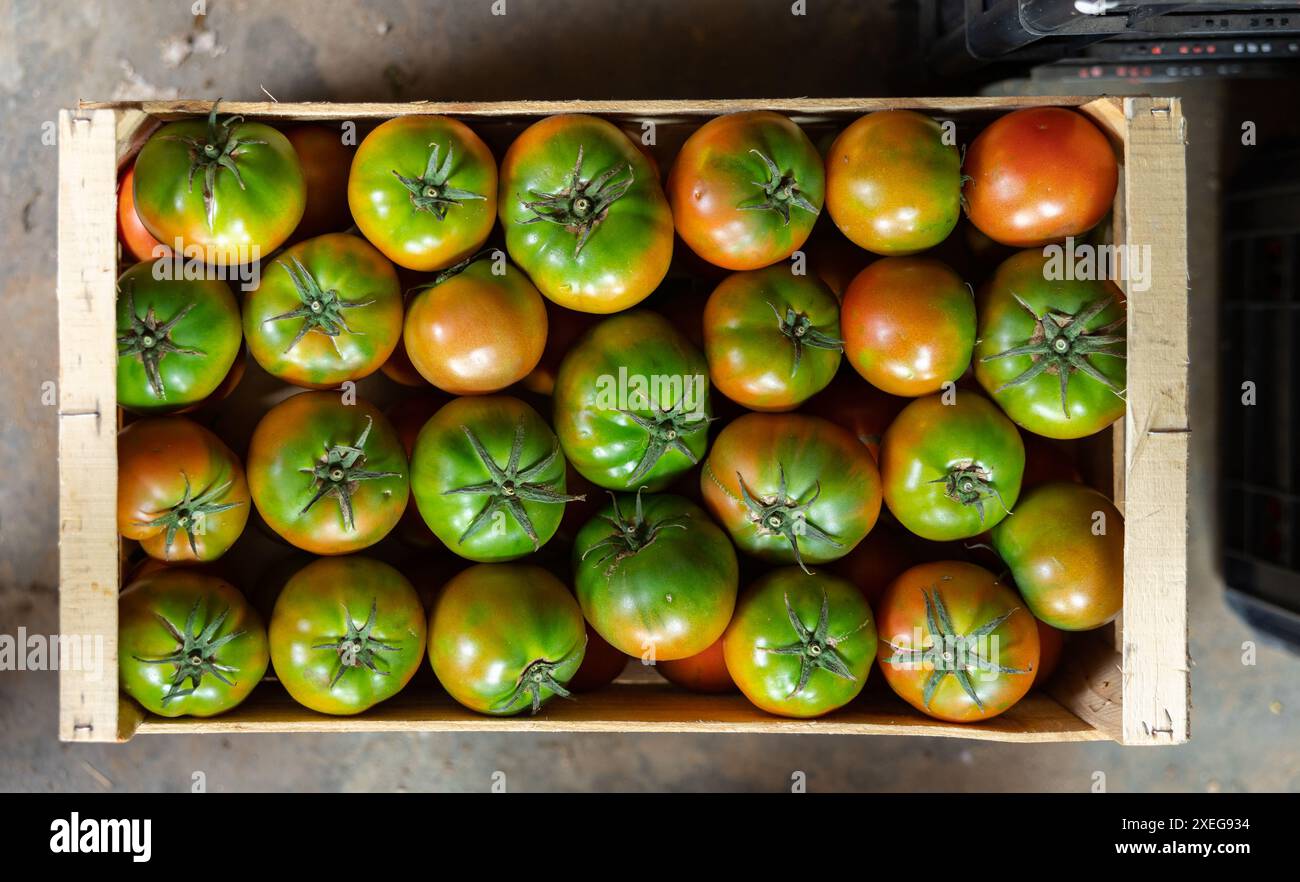 Boxes with tomatoes in grocery store, natural food Stock Photo - Alamy