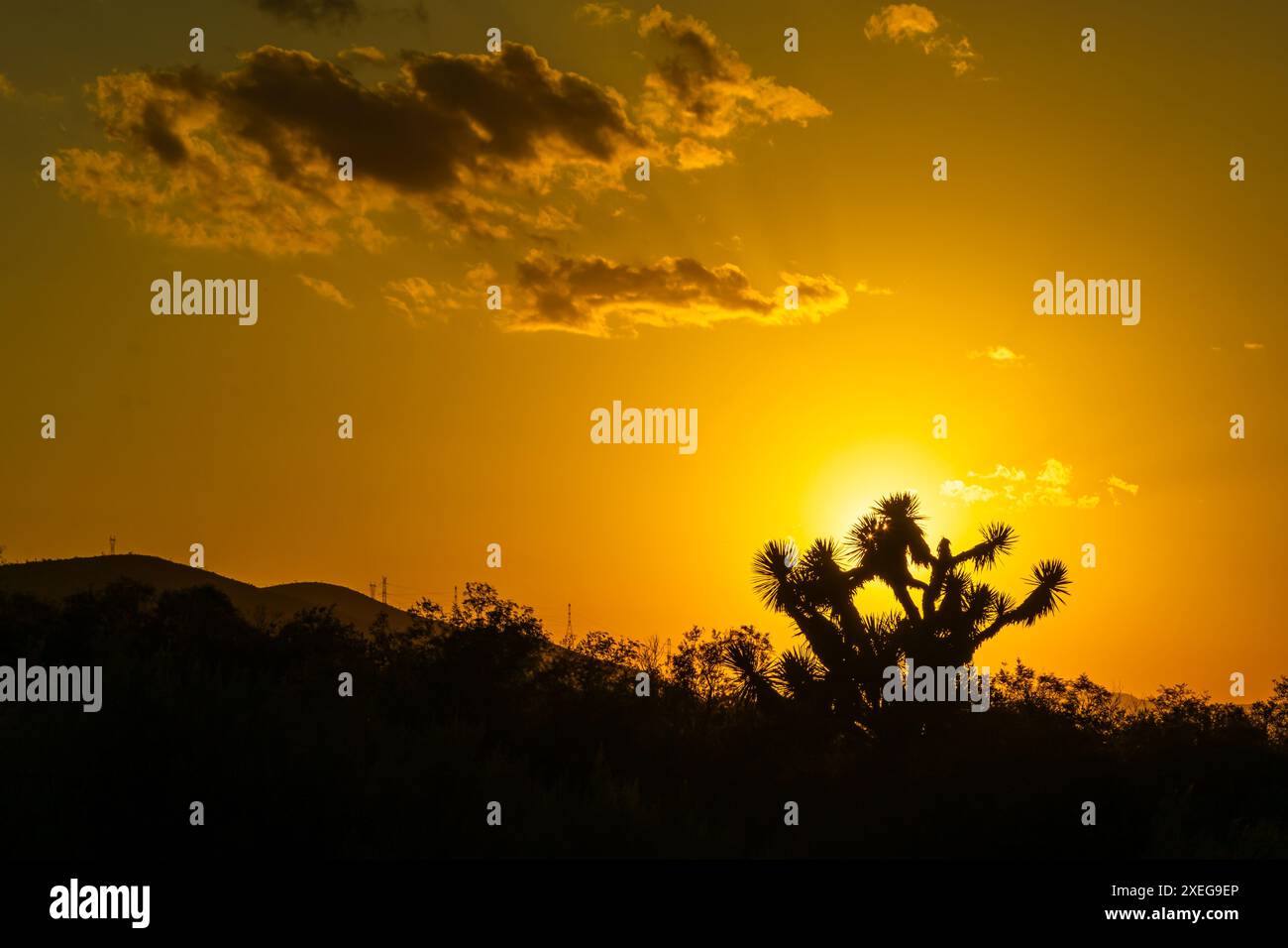 Panoramic view of a sunset on the Cerro de las Mitras in Monterrey ...