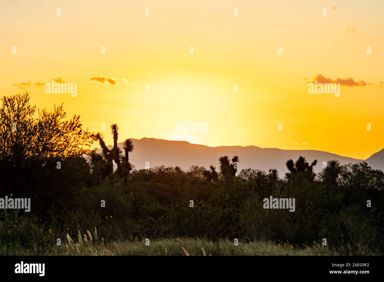 Panoramic view of a sunset on the Cerro de las Mitras in Monterrey ...