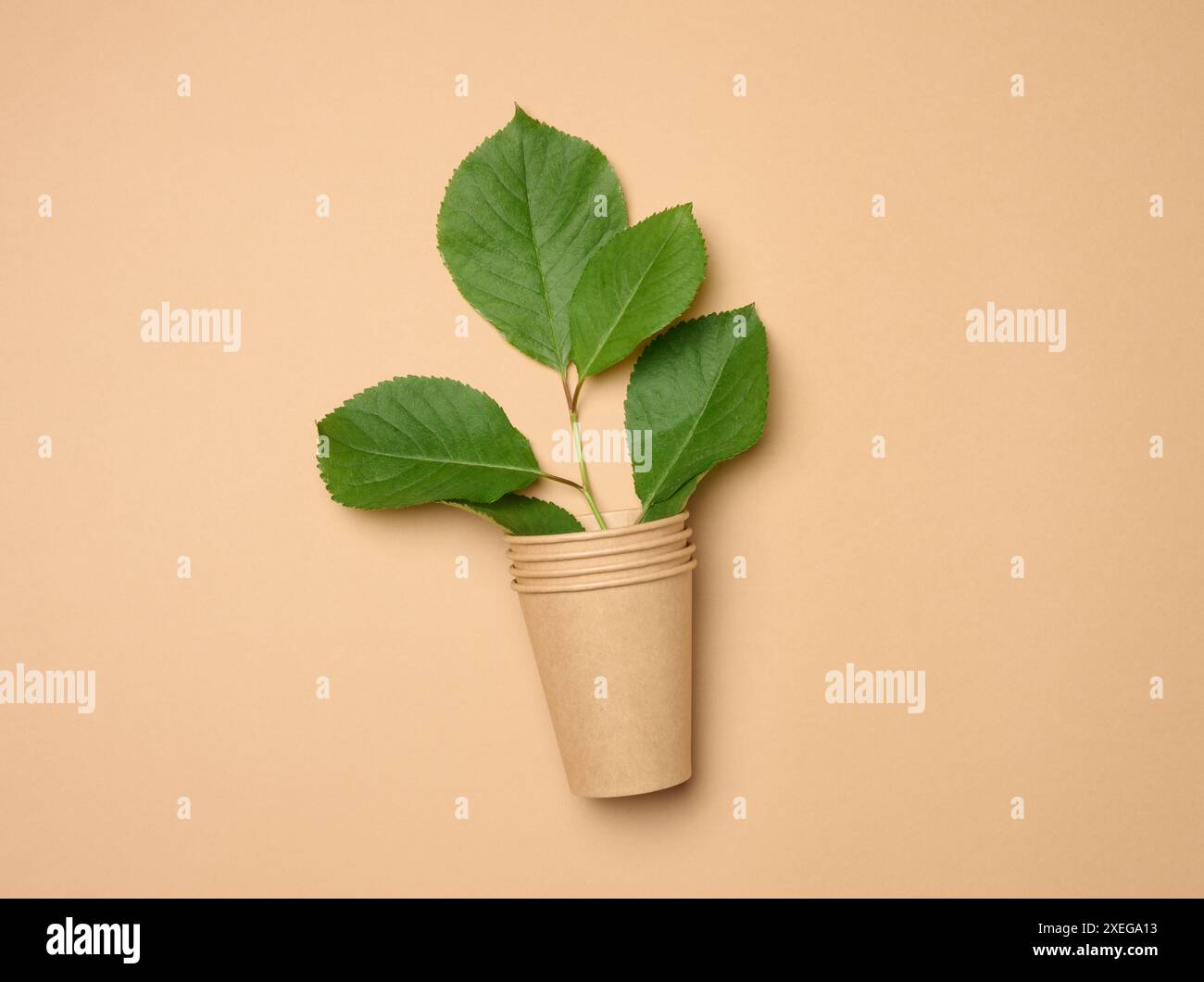 Stack of brown paper disposable cardboard cups on beige background and ...