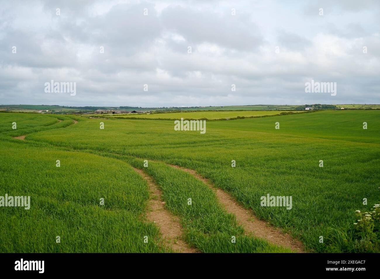 A field with tram lines in the Welsh countryside Stock Photo - Alamy