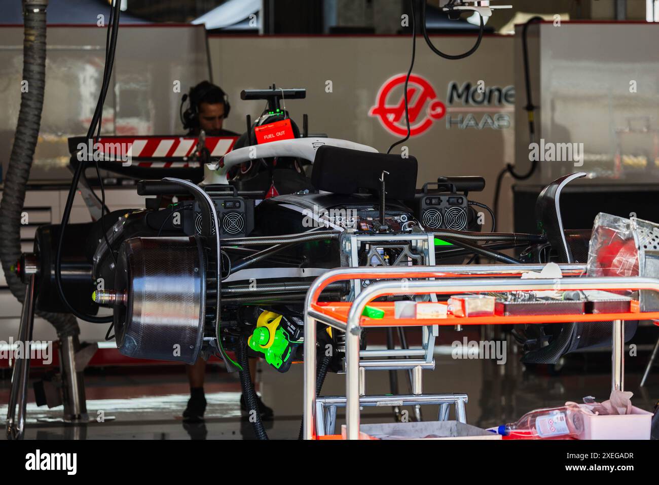 Nico holkenburg hi-res stock photography and images - Alamy