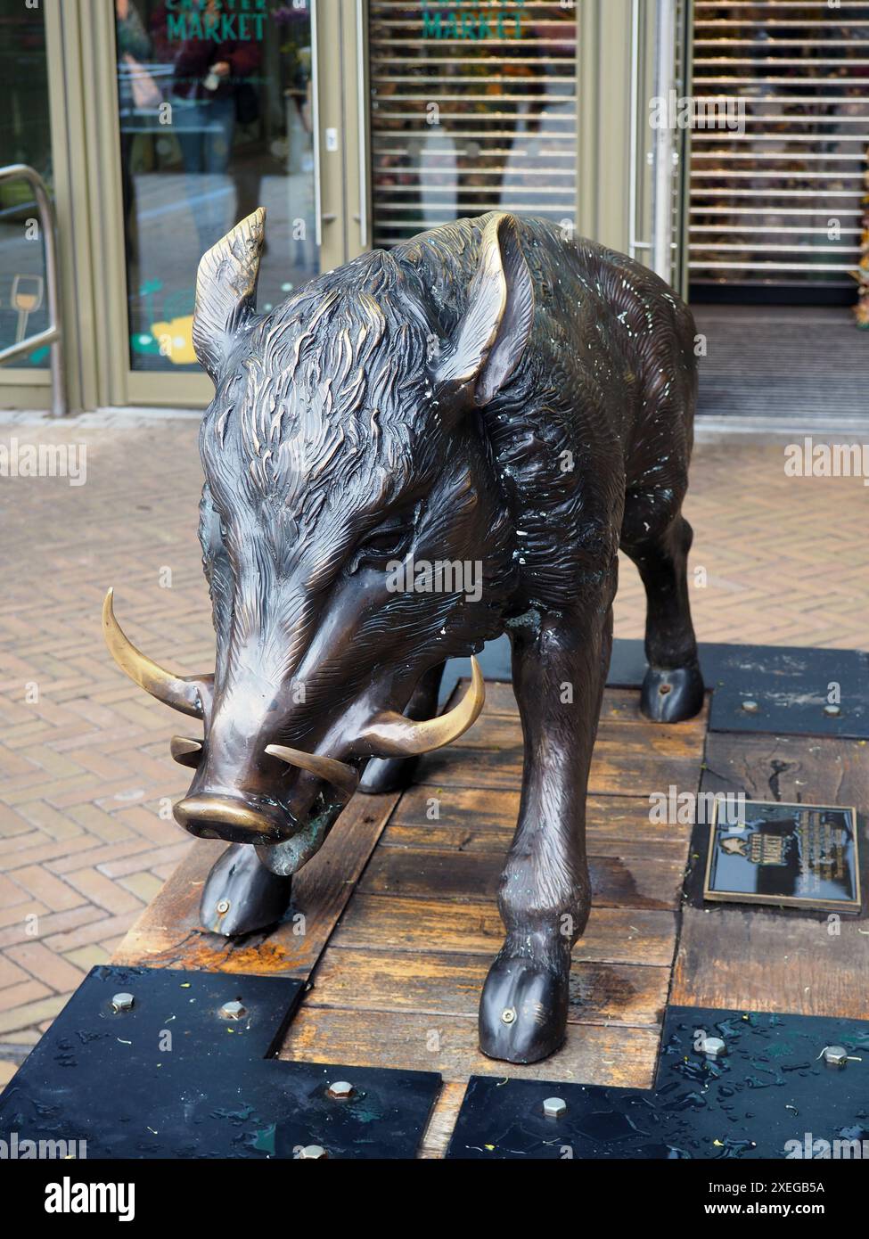 Bronze statue of a boar outside chester market building commemorating ...